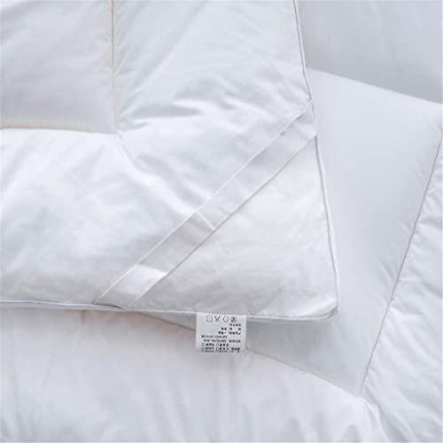 ZPZFDC Hotel Down Velvet Mattresses Thicken Keep Warm Tatami Foldable Mattress Help Sleep King Queen Size (Color : OneColor, Size : 150x200cm(59x79in))