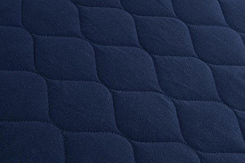 DHP Dana 6 Inch Quilted Twin Mattress with Removable Cover and Thermobonded Polyester Fill, Blue