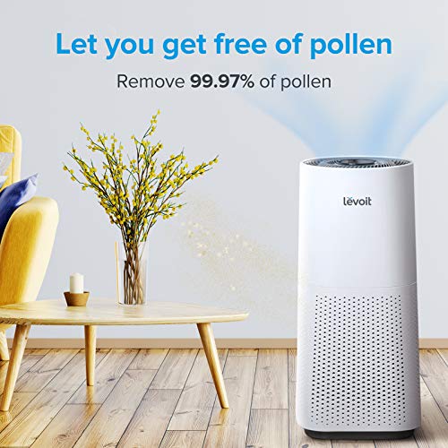 LEVOIT Air Purifiers for Home Large Room with HEPA Filter (LV-H134) and Air Quality Monitor (LV-H133)