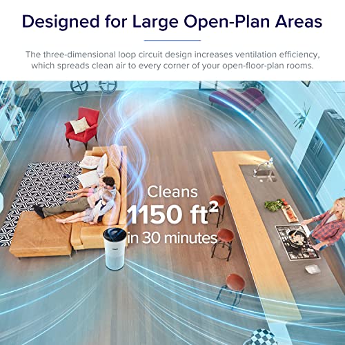 LEVOIT Air Purifiers for Home Large Room with HEPA Filter (LV-H134) and Air Quality Monitor (LV-H133)