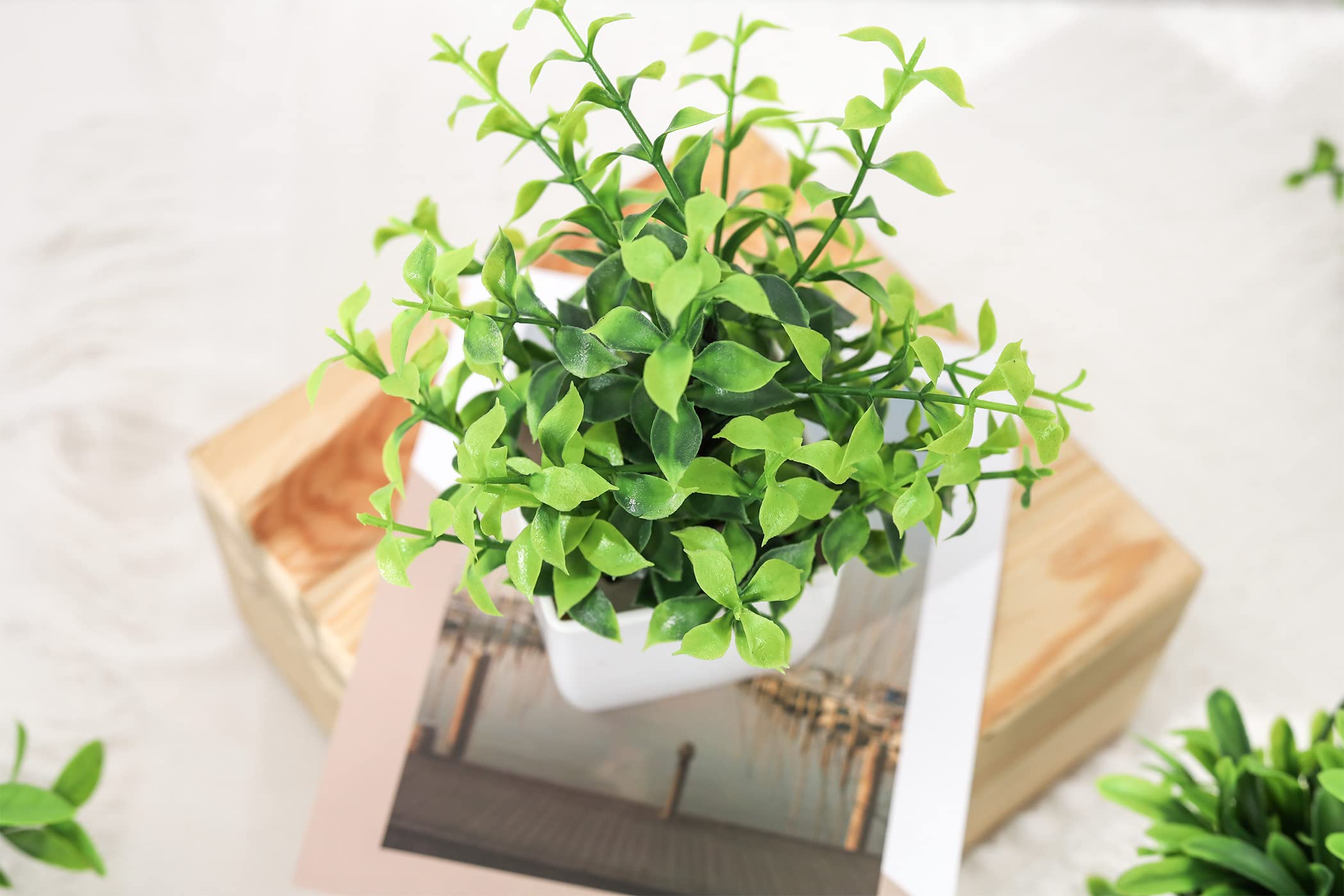 Der Rose 6 Pack Fake Plants Mini Artificial Plants for Home Office Farmhouse Bathroom Shelf Decor Indoor