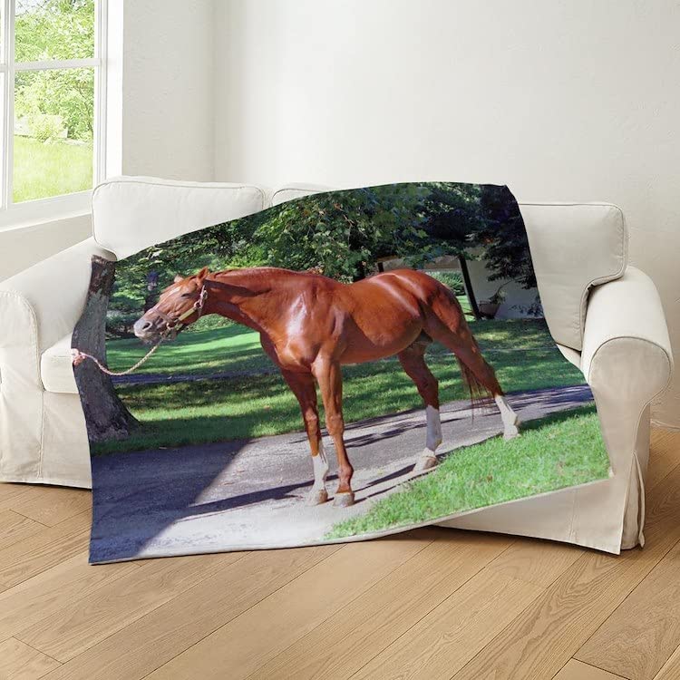 CafePress Secretariat Big Red Throw Blanket Super Soft Fleece Plush Throw Blanket, 60"x50"