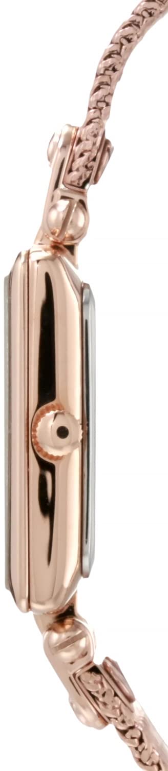 Anne Klein Women's Japanese Quartz Dress Watch with Stainless Steel Strap, Rose Gold, 12 (Model: AK/3882RGRG)