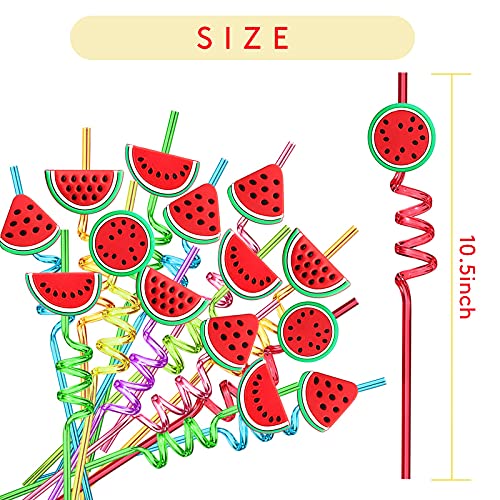 24 Watermelon Fruit Drinking Straws with 2 PCS Straws Cleaning Brush for One in A Melon Party Supplies Watermelon Birthday Party Supplies Decorations Favors
