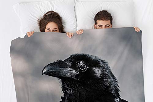 HGOD DESIGNS Raven Throw Blanket,Wild Animal Bird Black Raven Soft Warm Decorative Throw Blanket for Bed Chair Couch Sofa 30"X40"