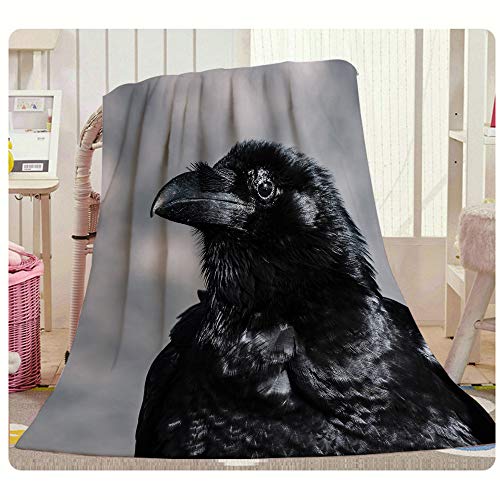 HGOD DESIGNS Raven Throw Blanket,Wild Animal Bird Black Raven Soft Warm Decorative Throw Blanket for Bed Chair Couch Sofa 30"X40"