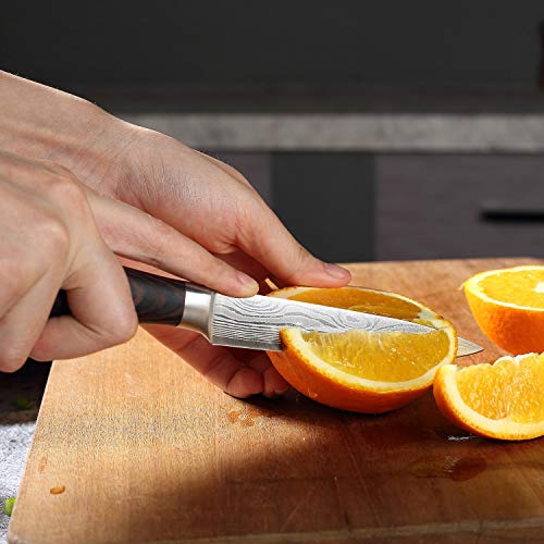PAUDIN Chef's Knife, Santoku Knife and Utility Knife