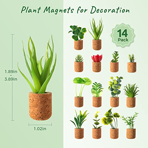 JUSTDOLIFE Plant Fridge Magnets-Mini Succulent Magnets Artificial Plants Refrigerator Magnets Potted Succulent Plants Magnet Stickers Cute for Magnet Boards Fridge Home Office Decor
