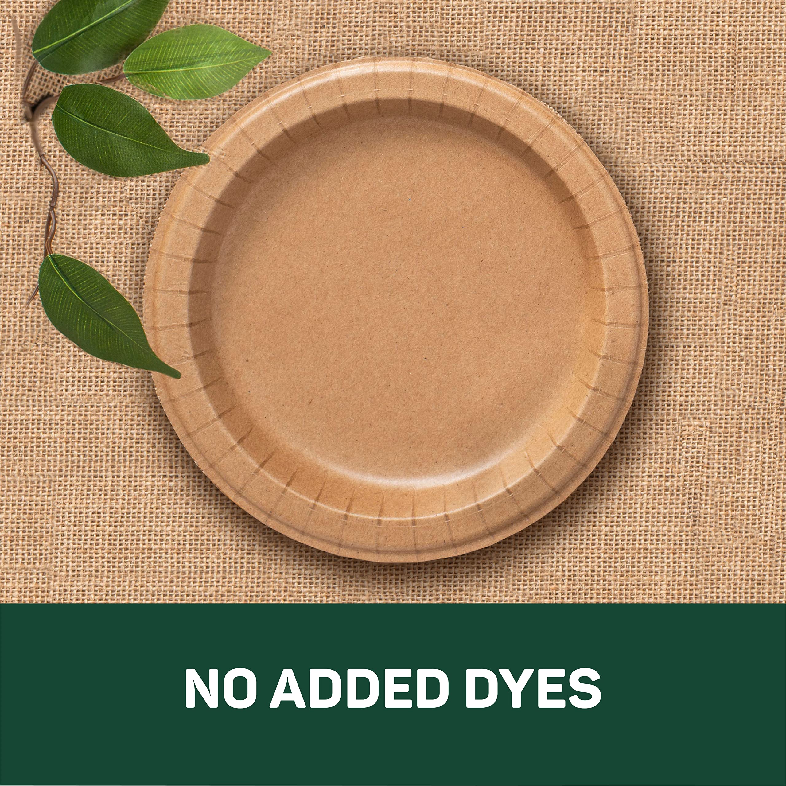 Dixie EcoSmart 100% Recycled Fiber Paper Plates, 8.5in, 50 Count, Medium Disposable Plate Great for Light Breakfast, Lunch, and Dinner Size