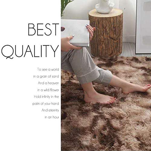 Textured Soft Blanket, Warm and Lightweight Throw Blanket, Cute Shaggy Bedside Blanket Floor Mat Carpet Household Living Room Bedroom Decor - Coffee 5080cm