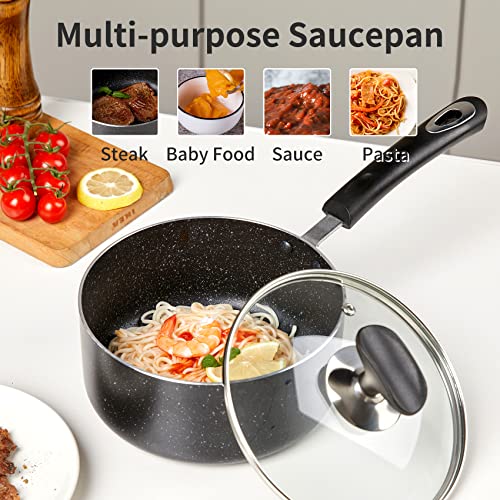 RATWIA 1 Quart Saucepan with Lid,Ultra Nonstick Sauce Pan 1Qt Small Pot with Glass Lid,Great for Home Kitchen Restaurant