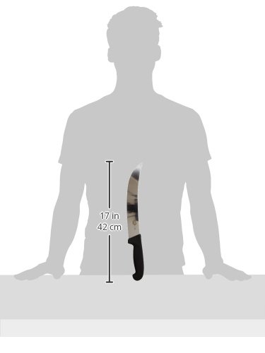 Victorinox Fibrox Pro 10-Inch Curved Cimeter Knife