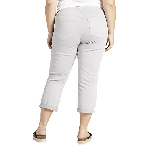 JAG Jeans Women's Plus Size Cecilia Mid Rise Capri, Grey, 24
