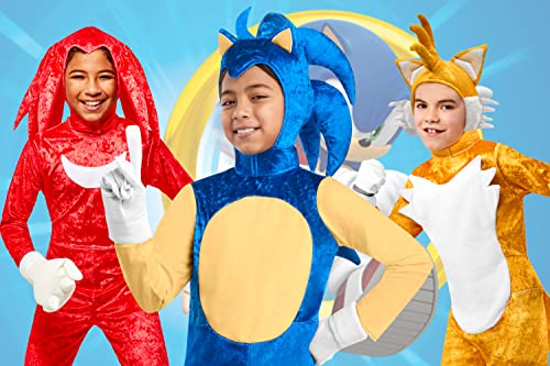 Rubies Child's Sonic Deluxe Costume for Themed Parties and Halloween, As Shown, Medium