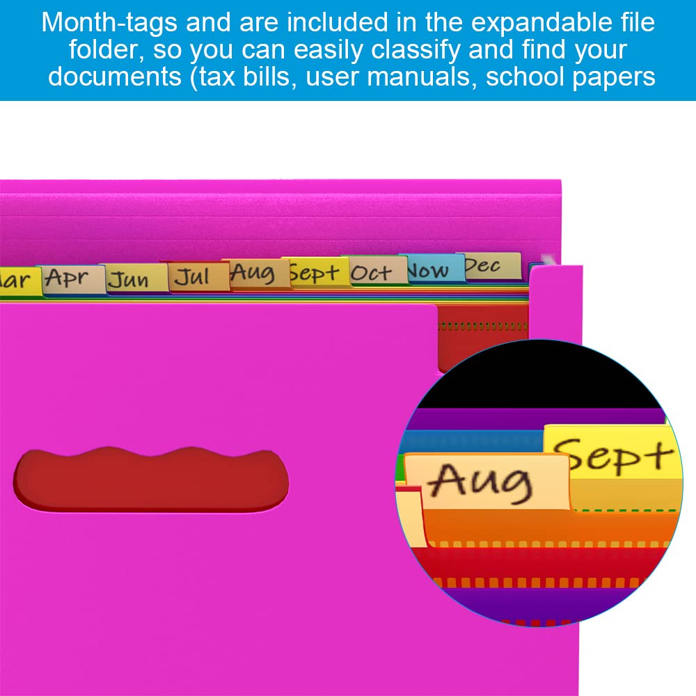 CN1ST Expanding File Folder with Sticky Labels, Accordian File folders Organizer, Expandable Filing Folder for Documents Letter Size and A4 Size