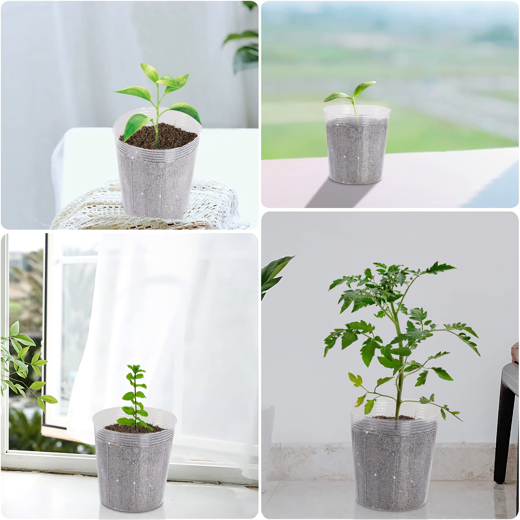 UPINS Clear Nursery Pots 40 Packs 3/4/5/6 Inches Plant Pots with Drainage Hole Seedling Transparent Plastic Gardening Pots Durable Seed Starter Pots Reusable for Plants Vegetables