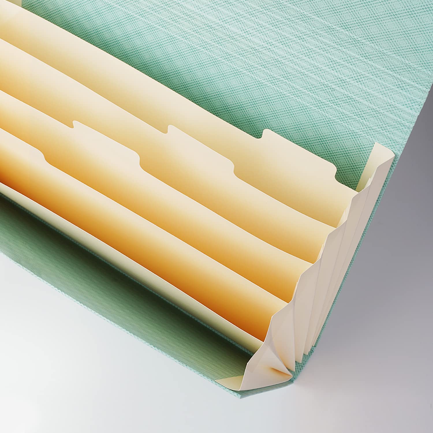 Blue Lake ECOLIFE Hardcover 6 Pockets Recyclable Paper Expanding File Document Folder, Plastic Free A4 Letter Size: Earth-Friendly, Cute Accordian File Organizer 450 Sheet for School, Office, Home