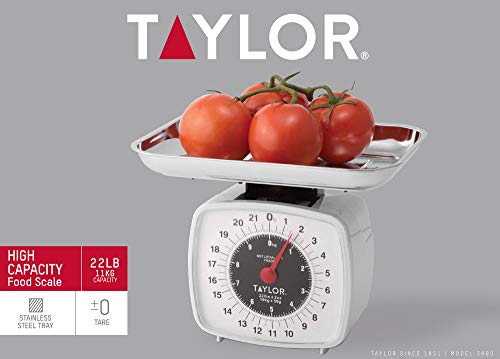 Taylor 38804016T Digital Kitchen Scale, Analog, 5-1/2 in L x 5 in W, Multicolor