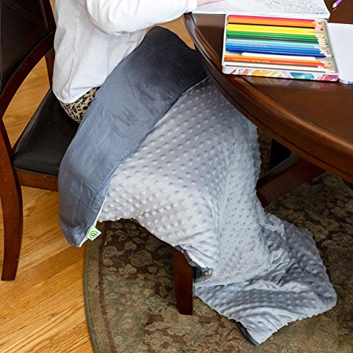 BARMY Weighted Lap Blanket (48"x24", 6lbs) Weighted Lap Pad with Removable Cover for Adults, Teens and Kids, Cotton Inner Blanket, Weighted Throw Blanket - Cool Gray