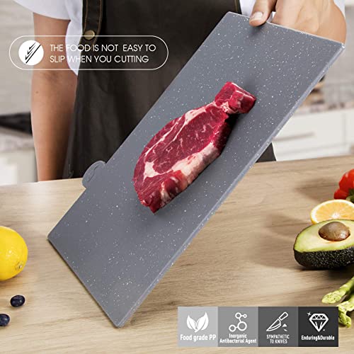 Masthome Index Chopping Board Set, 4-Pieces Plastic Cutting Boards with Food Icons and Storage Stand, BPA Free, Dishwasher Safe, Professional Chopping Board Set for Kitchen, Extra 1 Scissors