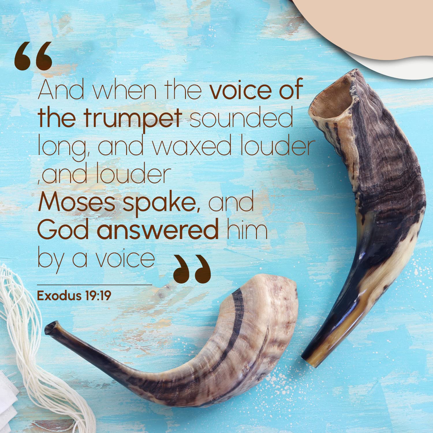Nana Gifts Authentic Ram Horn Shofar from Israel, Clear Sound, Half Polished, 14''-16''