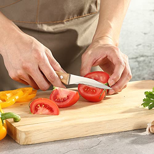 KL KALOO 2PCS Kitchen Knives, 8 inch Chef's Knife and 3.5 inch Paring Knife, Professional Chef Knife with German Stainless Steel Blade and Wooden Handle