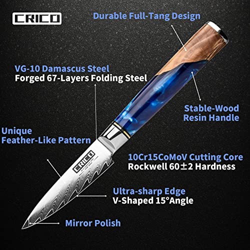 CRICO Paring Knife 3.5 inch Fruit Knife, Small Kitchen Knives, VG10 Damascus Super Steel 67-Layers, Full Tang Wood&Resin Handle, Gift Box - Flow Series