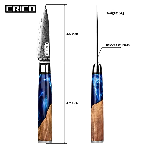 CRICO Paring Knife 3.5 inch Fruit Knife, Small Kitchen Knives, VG10 Damascus Super Steel 67-Layers, Full Tang Wood&Resin Handle, Gift Box - Flow Series