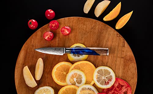 CRICO Paring Knife 3.5 inch Fruit Knife, Small Kitchen Knives, VG10 Damascus Super Steel 67-Layers, Full Tang Wood&Resin Handle, Gift Box - Flow Series