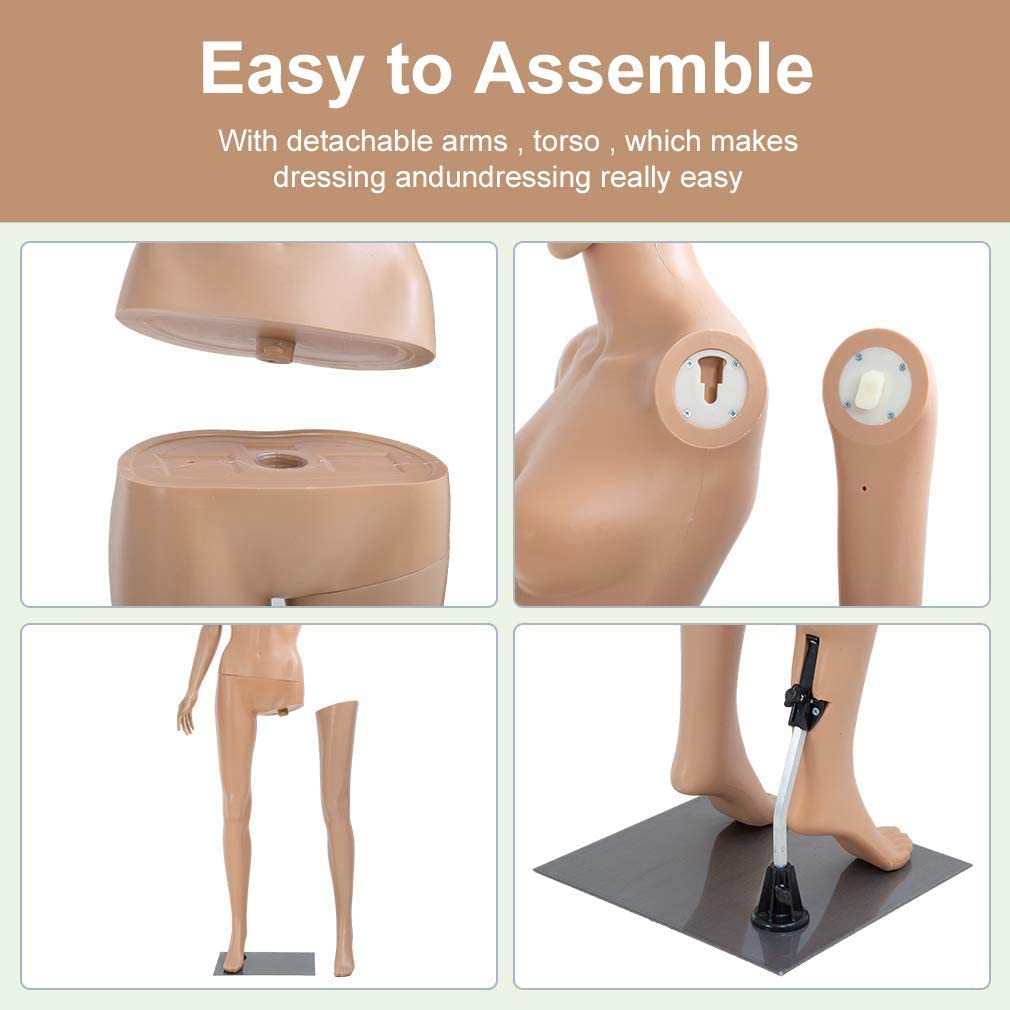 FLL Mannequin Torso, Clothing Form Full Body Manikin Female 69 inch Adjustable Detachable Stand Realistic Display with Metal Base Plastic Head Arm Turns Stand, Beige (FLL-01)