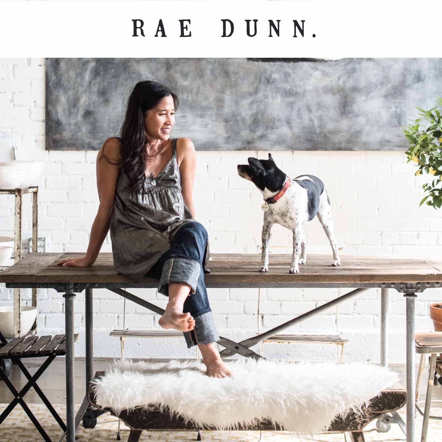 Rae Dunn Pet Wipes, Alcohol Free with Aloe and Vitamin E, Coconut Vanilla, 150 Count