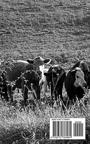 Address Book: Cute Cows Address Book: Keep Addresses, Phone Numbers, Emails, Websites, and Birthdays!