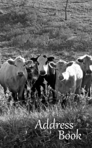 Address Book: Cute Cows Address Book: Keep Addresses, Phone Numbers, Emails, Websites, and Birthdays!
