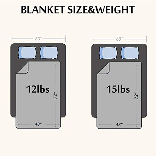 ALANSMA Reversible Weighted Blanket for All Season, Warm and Cool, Luxury Velvet, Enjoy Sleeping Anywhere