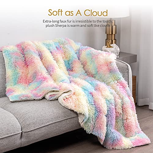 Mr. Sandman Faux Fur Weighted Blanket Queen Size 15 lbs, Luxury Elegant Long Fur Weighted Blanket Throw for Bed Sofa, Super Soft Warm Sherpa Reverse Heavy Blanket - 60"×80", Rainbow