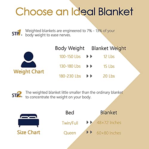 Mr. Sandman Faux Fur Weighted Blanket Queen Size 15 lbs, Luxury Elegant Long Fur Weighted Blanket Throw for Bed Sofa, Super Soft Warm Sherpa Reverse Heavy Blanket - 60"×80", Rainbow