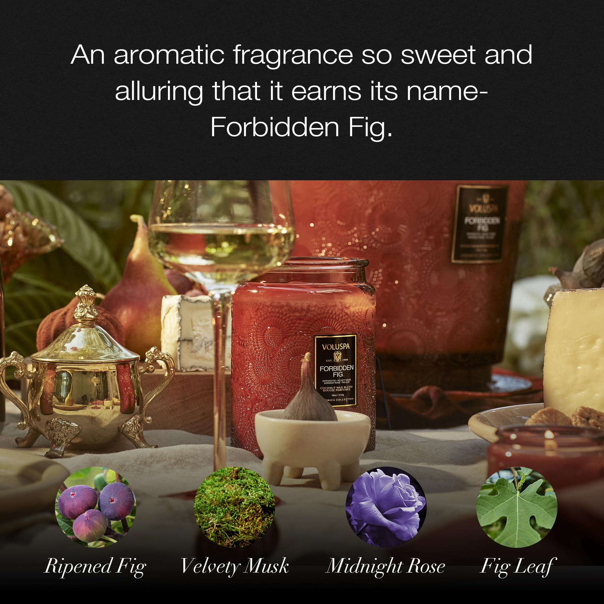Voluspa Forbidden Fig, Large Candle Jar, 18 oz, 100 Hour Burn Time, Coconut Wax for Clean Burning, Handcrafted in the USA