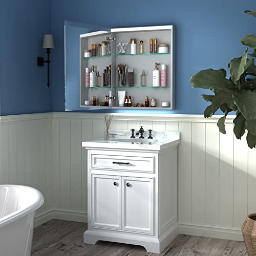ES-DIY 24''x 30''LED Lighted Bathroom Medicine Cabinet with Mirror,Surface Lighted Medicine Cabinet,Dimmable,Adjustable Shelves,Intelligent Switch Medicine Cabinet, Aluminum Frame,Hinge On Left Side