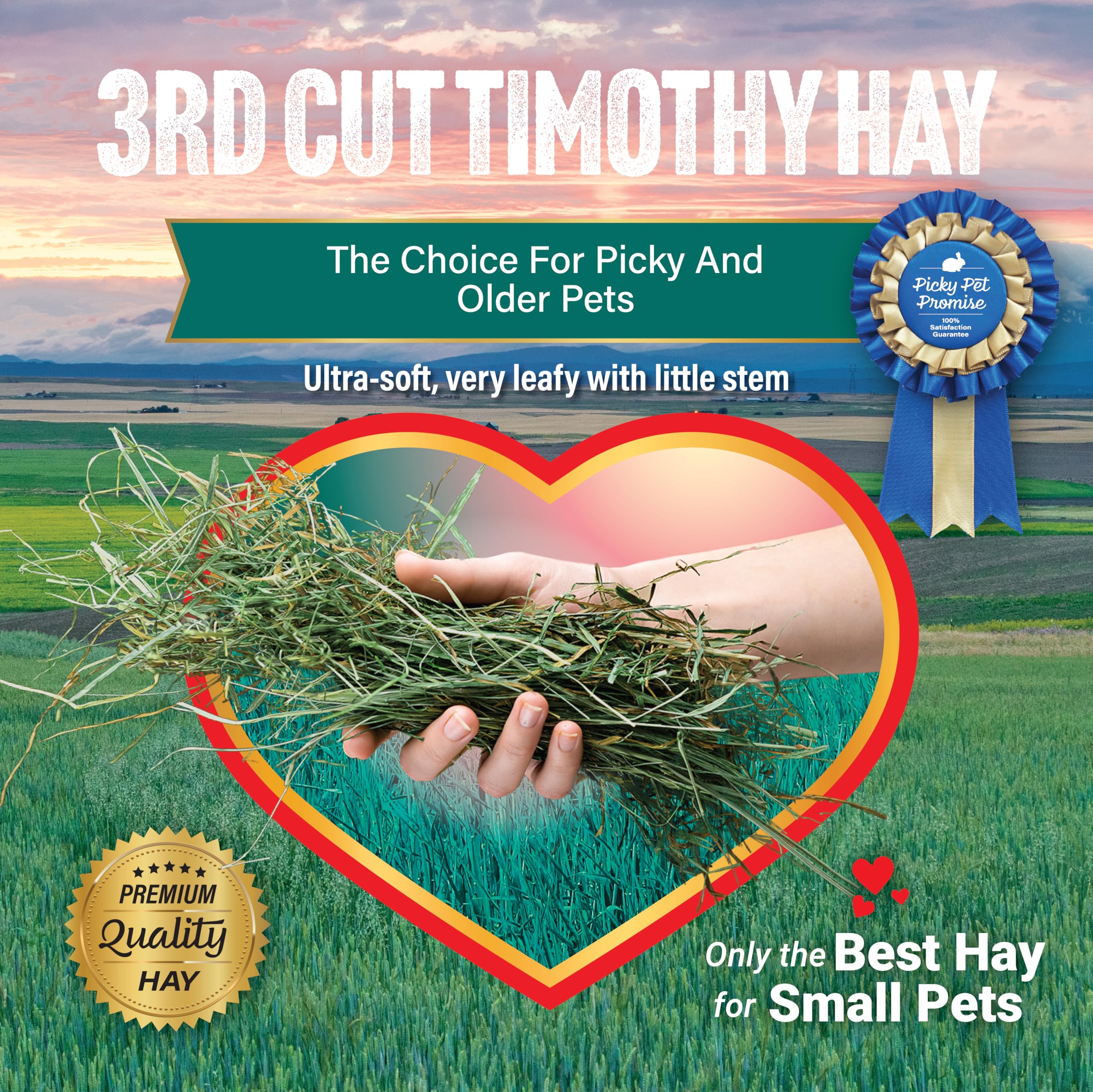 Small Pet Select 3rd Cutting Super Soft Timothy Hay Pet Food for Picky Eaters, Rabbits, Guinea Pigs, and Other Small Animals, Easy to Store Box, 40 LB