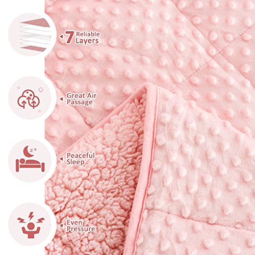 Sted Weighted Blanket 20 lbs, Soft Warm Sherpa Fleece Heavy Blanket Adult, Minky Dot Bed Blanket for Sleep Home, Machine Washable, Pink 60"×80" 20 lbs