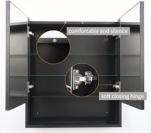HESONTH Farmhouse Black Metal Framed Surface Mounted Bathroom Medicine Cabinet with Mirror Rectangle Vanity Mirros Cabinet for Wall 22x24 inch