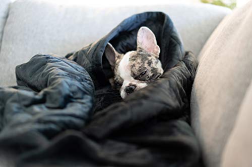The Amazing Blanket β Adult Weighted Blanket (15 lbs) β 48" W x 72" L