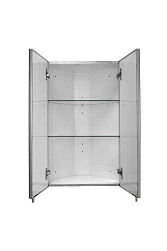 Croydex WC766105AZ Avisio Double Door Corner Bathroom, 27.6" H x 17.7" W Medicine Cabinet, Stainless Steel