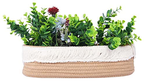Toilet Tank Topper Paper Basket, Storage for Toilet Tank, Bathroom Baskets Tray, Toilet Baskets for Boho Bathroom Decor, Small Woven Baskets for Organizing, 13.5"x5.9"x4" (Brown-Fringe)