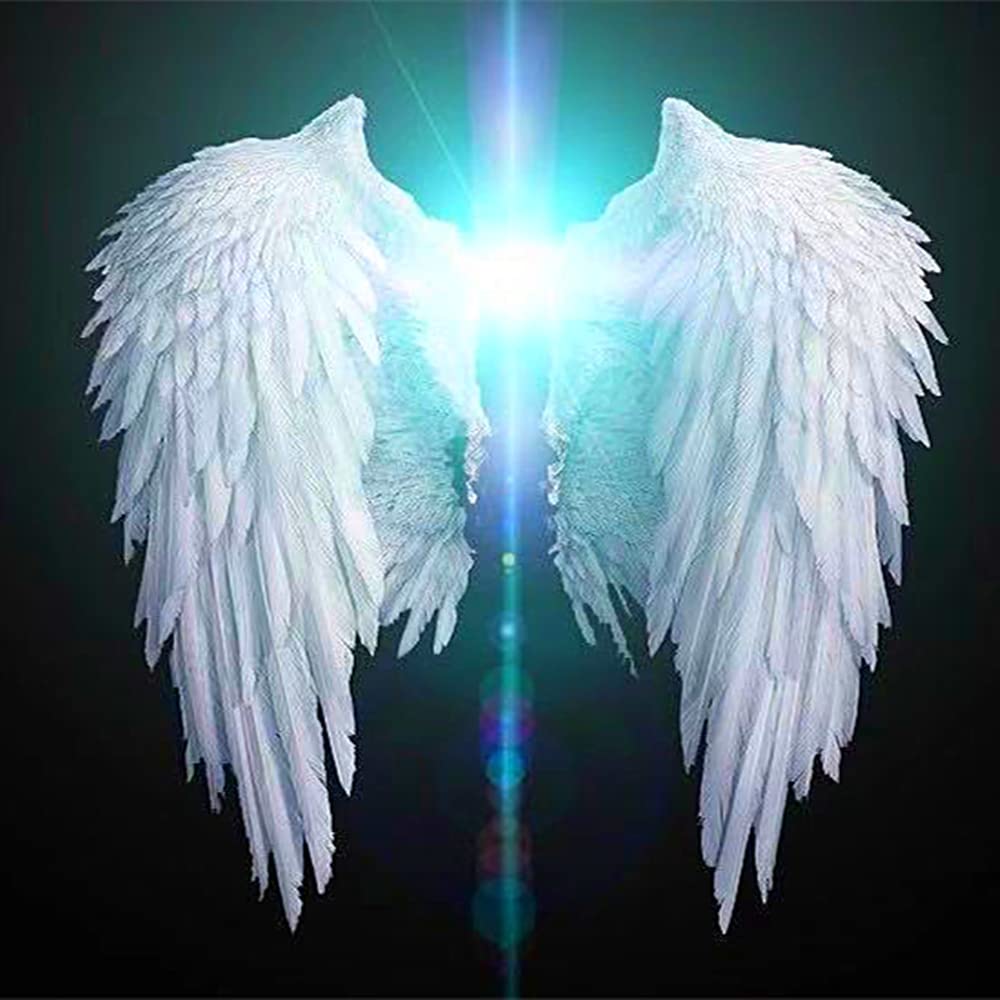 NIHO-JIUMA Feather Wings Diamond Painting Kit, 5D Full Diamond Art Gift for Adult, Home Decoration (30x30cm/12x12 inches)