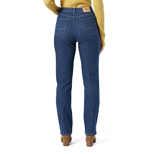 Levi Strauss Signature Gold Women's High-Rise Straight (Standard and Plus), Tennessee Valley 5d, 10 Regular