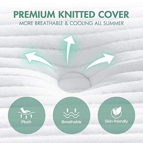 14 Inch Queen Mattress in a Box, Lechepus Plush Memory Foam Hybrid Mattress with Pocket Innerspring, Soft But Supportive Mattress for Pressure Relief, Queen Size 60"*80"