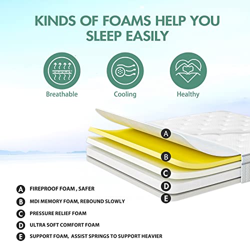 14 Inch Queen Mattress in a Box, Lechepus Plush Memory Foam Hybrid Mattress with Pocket Innerspring, Soft But Supportive Mattress for Pressure Relief, Queen Size 60"*80"
