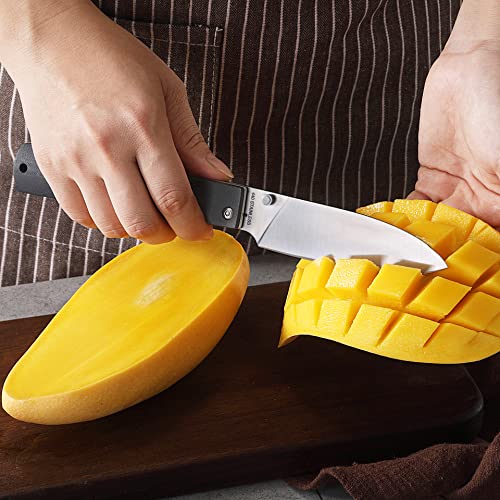 ZhengSheng 4.5" Folding Utility Knife 440A Stainless Steel Blade G10 Handle Pocket Foldable Fruit knife peeling knife for Outdoor Camping Activities