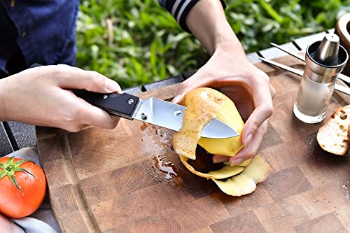 ZhengSheng 4.5" Folding Utility Knife 440A Stainless Steel Blade G10 Handle Pocket Foldable Fruit knife peeling knife for Outdoor Camping Activities